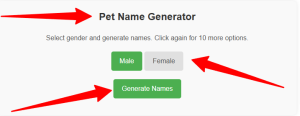 Pet Name Generator by PetNameSprout: Find the Perfect Name for Your ...